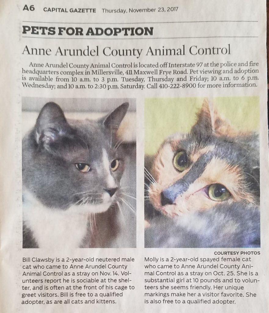 NEWSPAPERS FREE PUBLICITY FOR ANIMAL RESCUE GROUPS - Pet Parents' Place